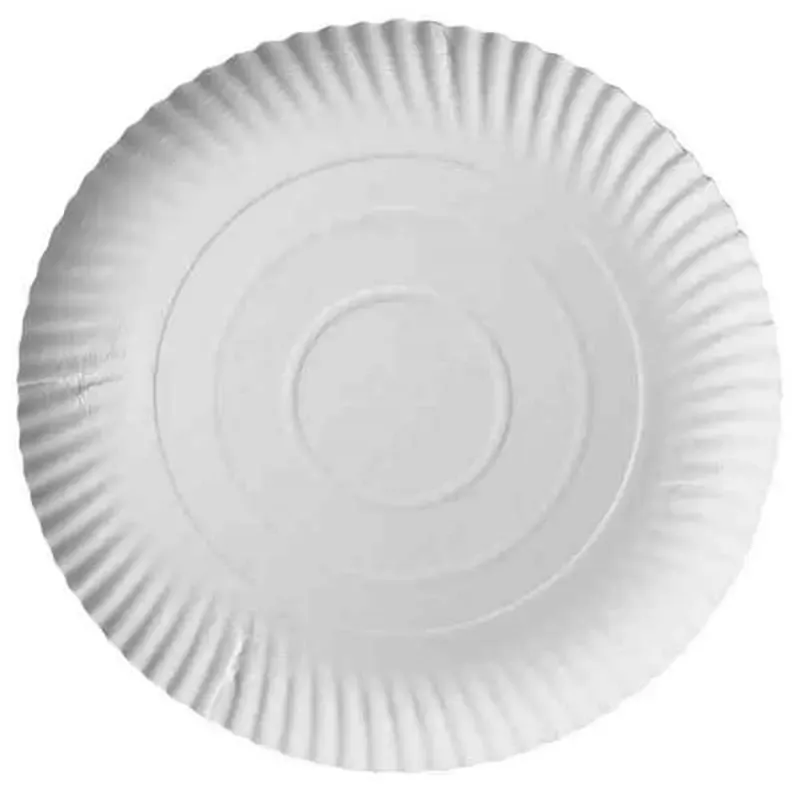 "White Round Cardboard Plates Ø 240 x 20mm - Horecavoordeel.com"