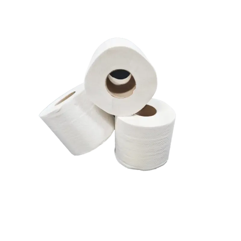 Eco-Friendly 2 Ply Toilet Paper - 400 Sheets - 10 x 4 Rolls ...